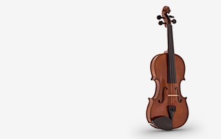 Orkesterinstrumenter | Treblås-, streng- og messinginstrumenter hos ...